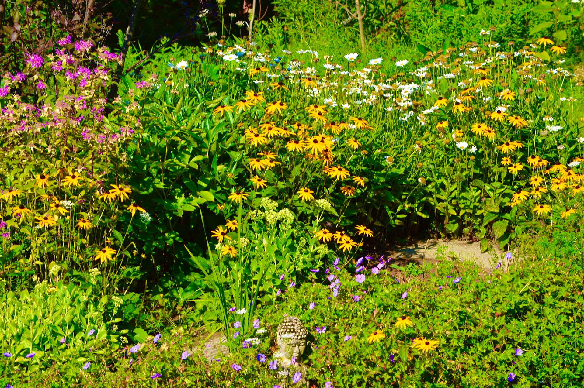 On Being and Becoming - Reflections on Life's Illusions